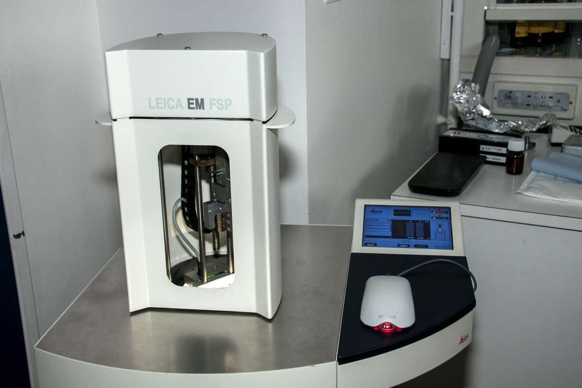 Microscopie Électronique à Balayage (MEB) ↓ - Centre de Microscopie ...